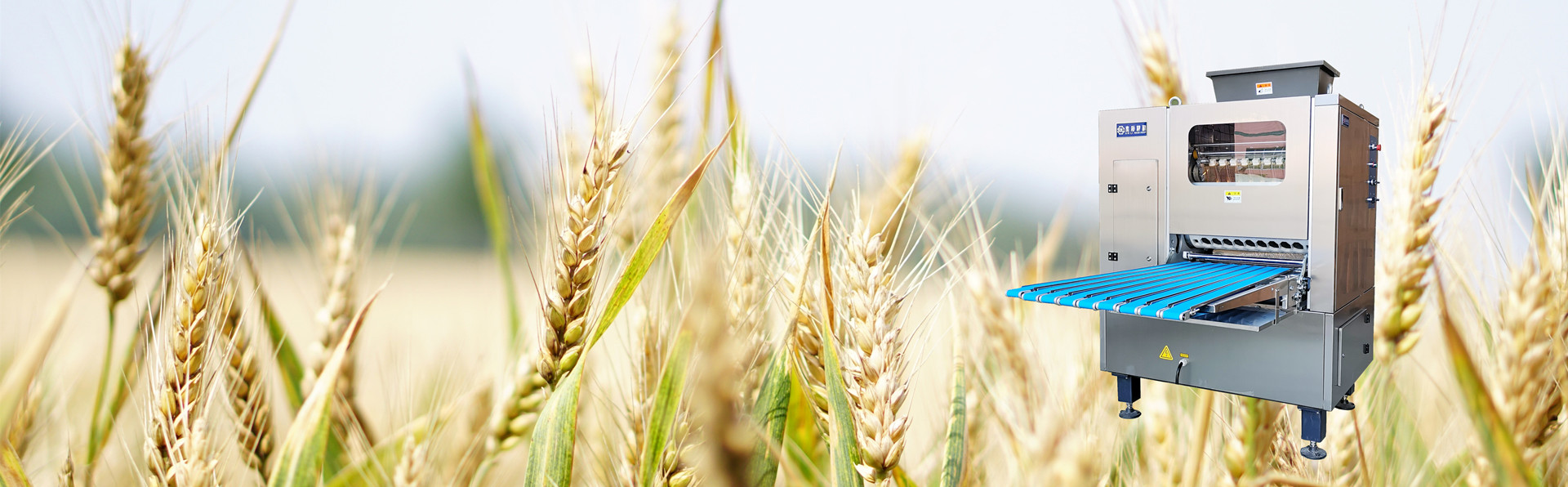 Tray Panning Machine, Tray Backing Machine, Sesame Duster, Toast Dough ...